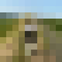 bellefleurrr - M📷delssignup